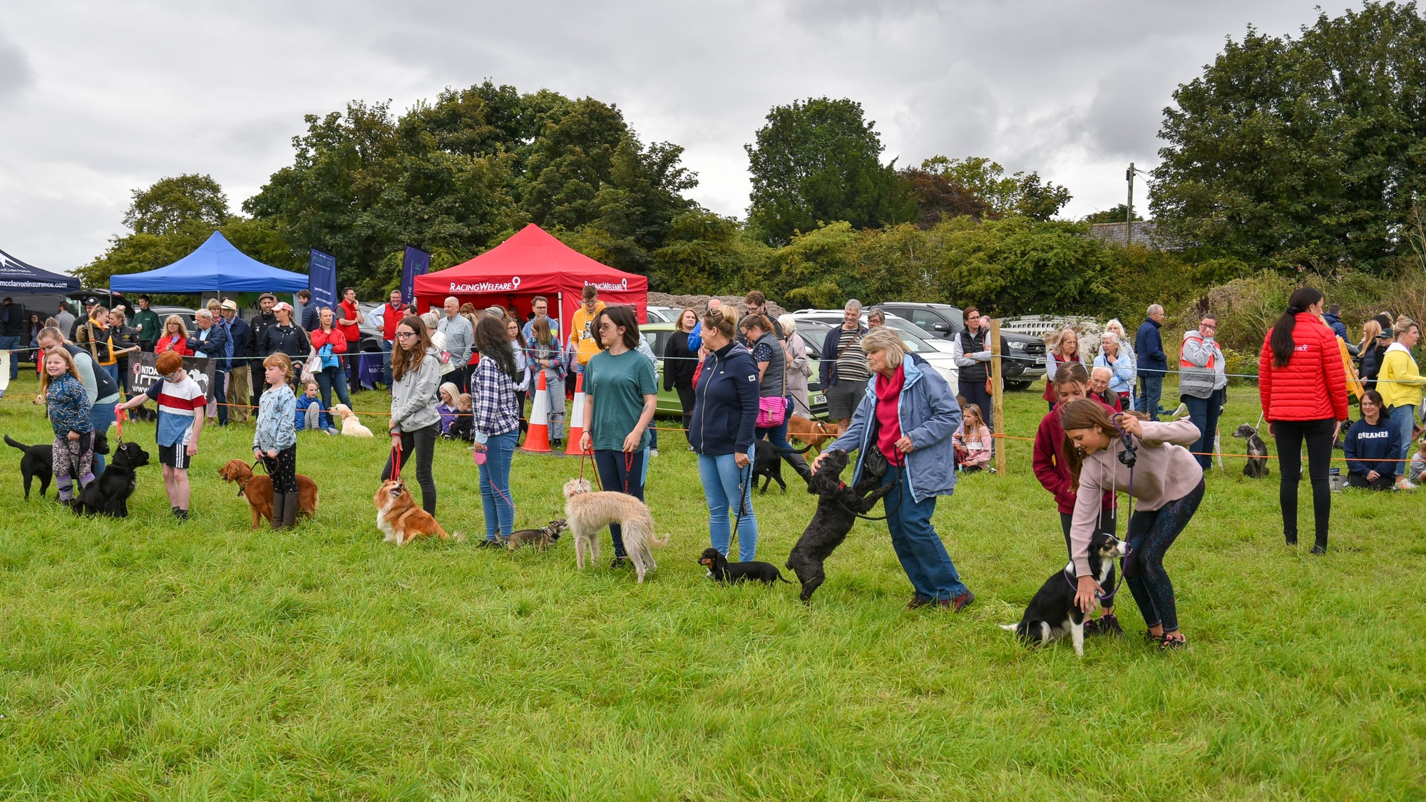 News | Middleham Open Day